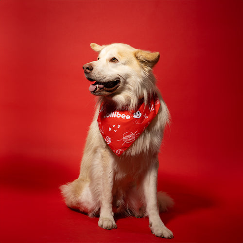 Shop Jollibee Merch | Jolly Merch Shop